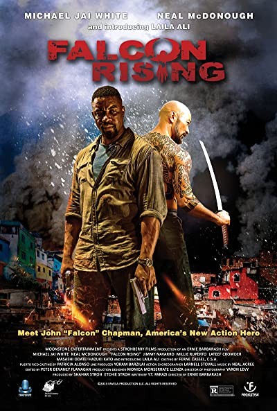 Falcon Rising - 2014 - Sinemalar.com